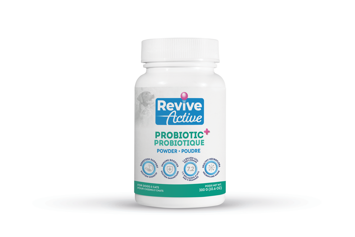 Probiotic Powder — Revive Active Canada